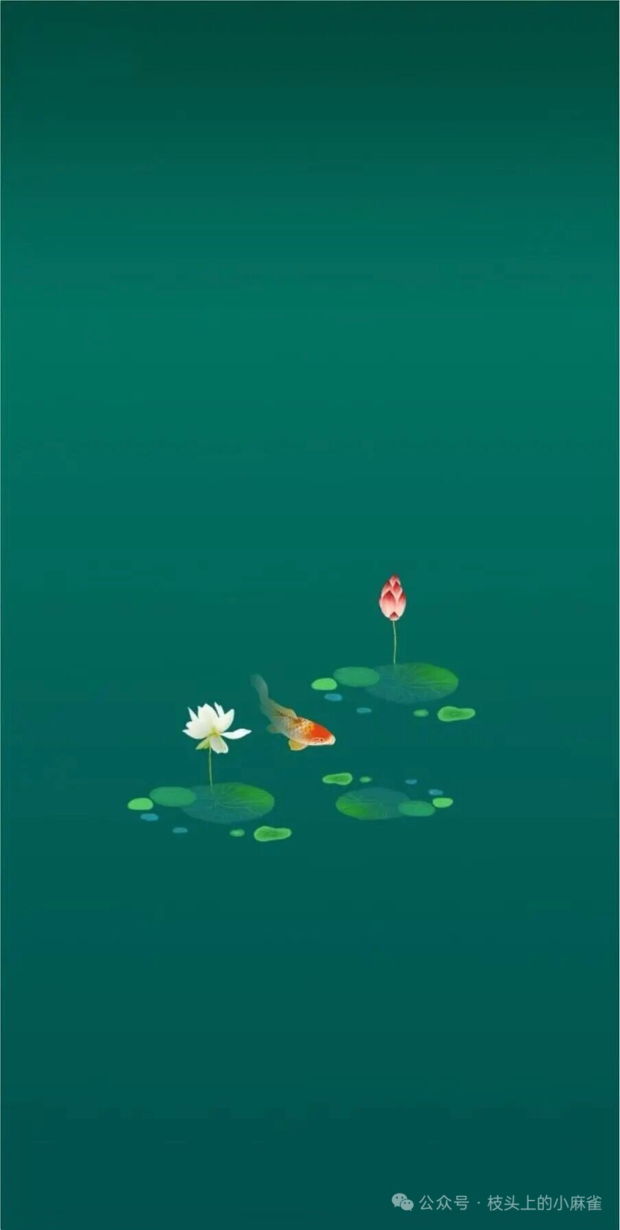 淡水鱼苗养殖