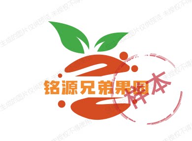 铭源兄弟果园