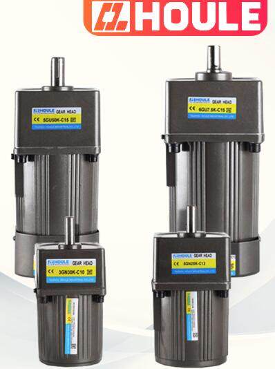 HOULE GEAR 5GU50K-C15 5IK40R-C2F-GU INDUCTION MOTOR电机马达