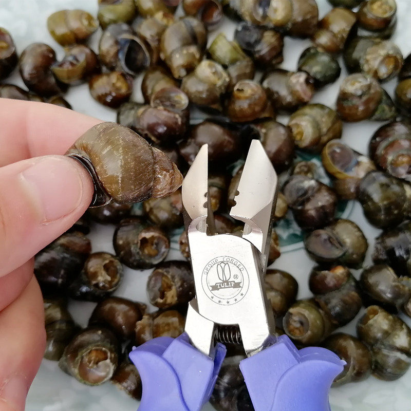 [USD 20.72] Scissors Snail clip scissors of field screws ⁇ Tail clamp ...