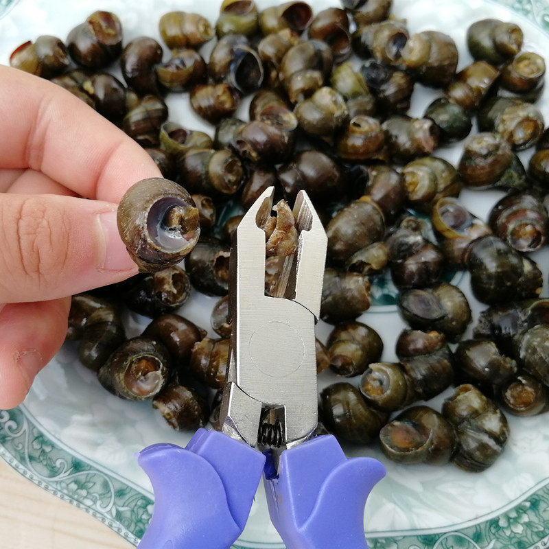 [USD 20.72] Scissors Snail clip scissors of field screws ⁇ Tail clamp ...