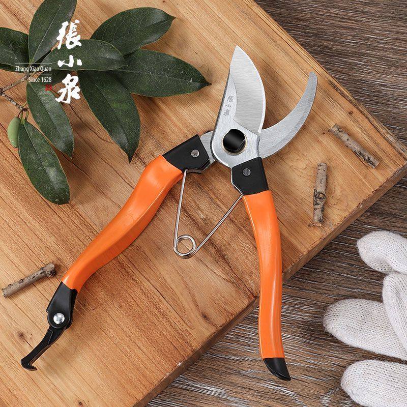 [USD 12.41] Zhang Koizumi scissors branch pruning fruit tree scissors ...