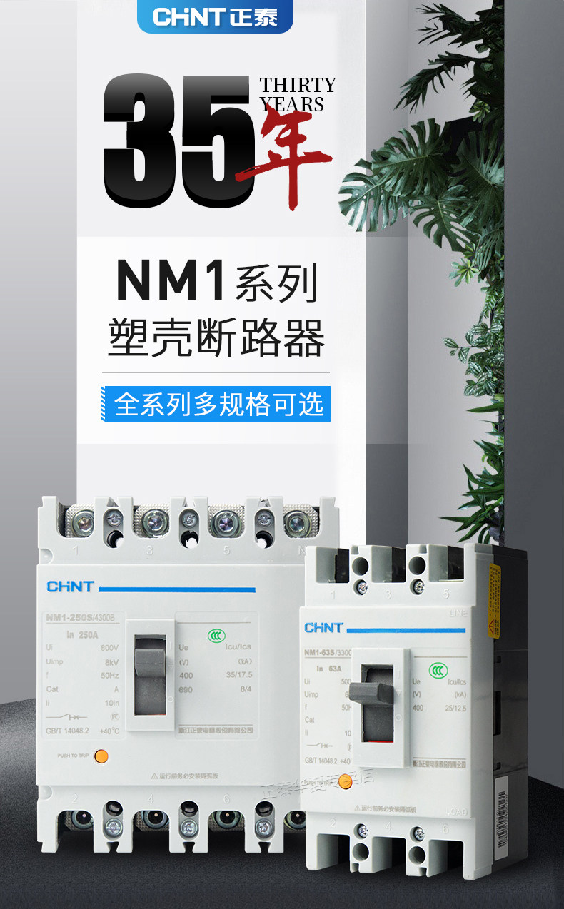 正泰NM1系列塑壳式断路器NM1-400S/3300 3P 250A 315A 350A 400A-阿里巴巴