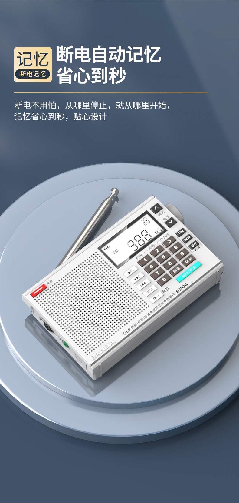 Panda 6206 Portable Full-Band Radio - Digital Tuning, Lithium Battery