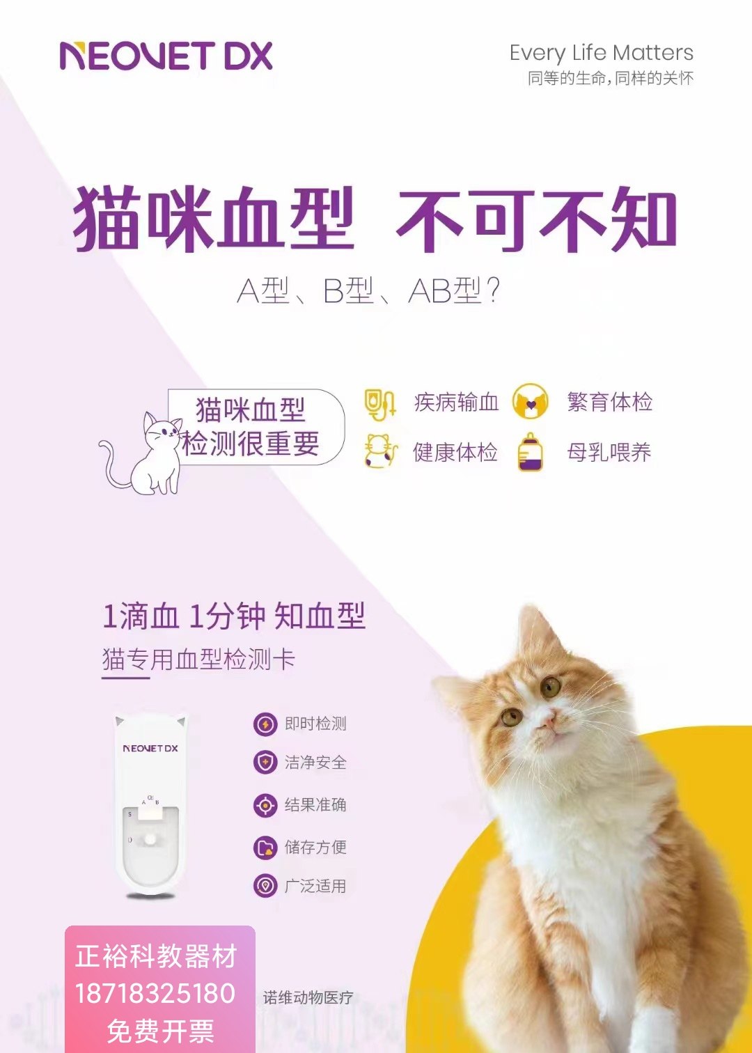 犬猫血型检测试剂盒 NEOVET DX 专用试纸 A型B型AB型检测
