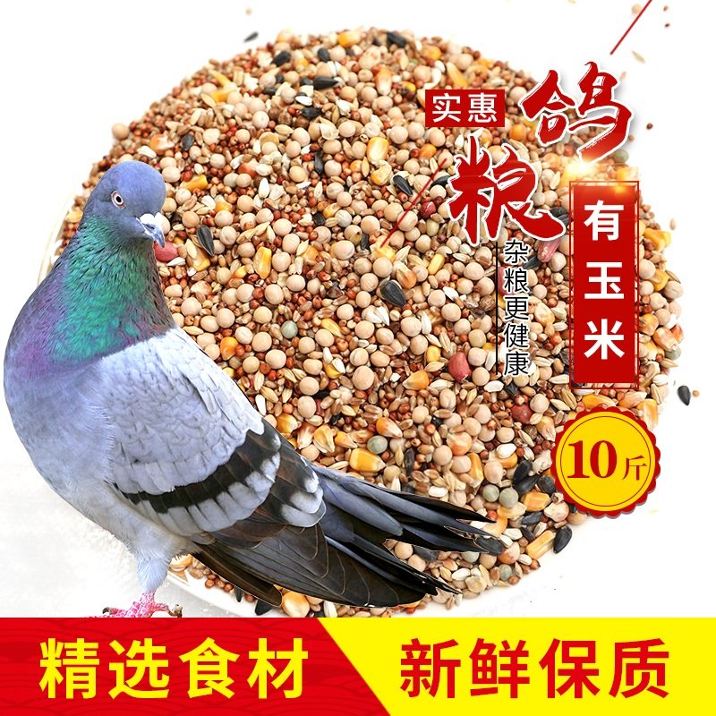 [USD 24.97] 10 pounds of corn pigeon grain competition flying ...