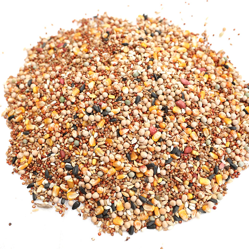 [USD 24.97] 10 pounds of corn pigeon grain competition flying ...