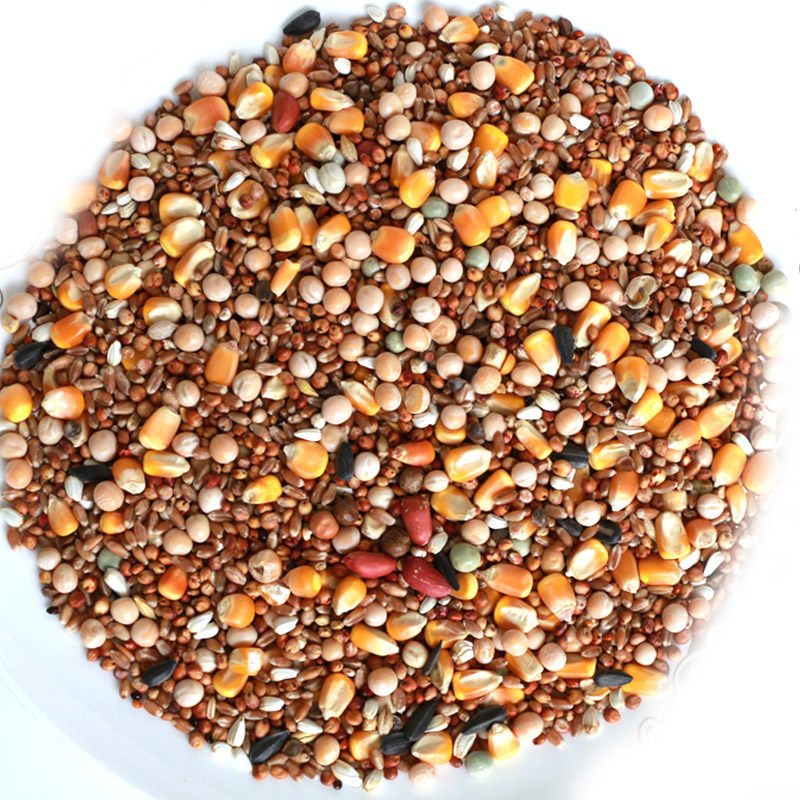 [USD 24.97] 10 pounds of corn pigeon grain competition flying ...