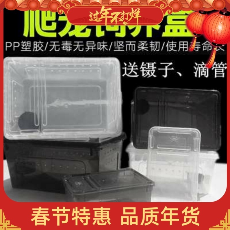 Купить Паук Прыжки Box кормление паука подъема питомец паук черепаха ...