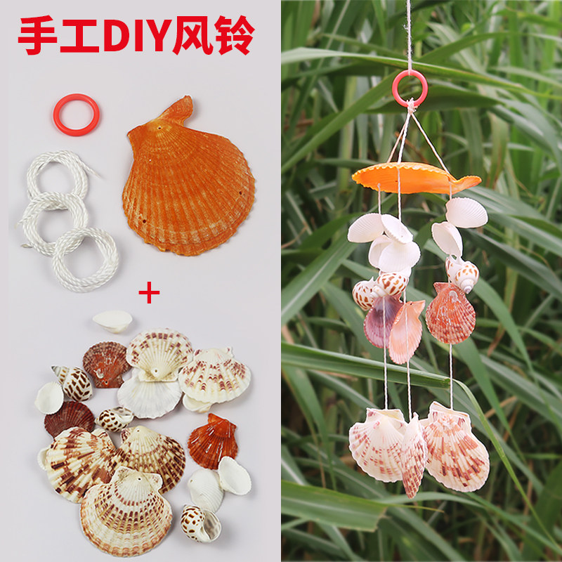 Hermit crab shell roll seafish replacement special shell natural conch ...