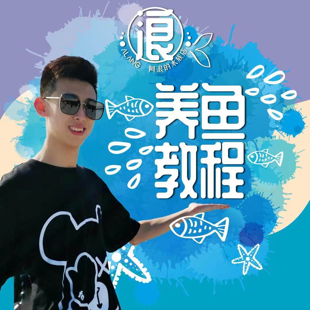 阿浪的水族店