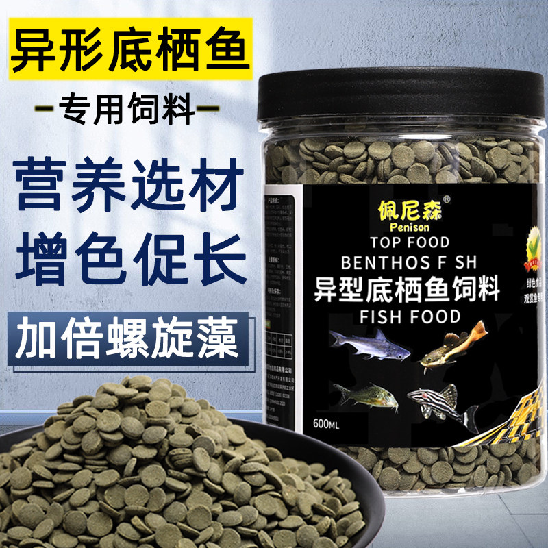 Exclusive delicacies for special-shaped fish, blue shark, tiger head ...