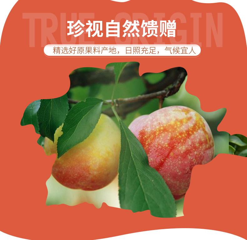半梅干500g散装话梅半边梅鸳鸯梅情人梅李子果干蜜饯孕妇新货零食 阿里巴巴