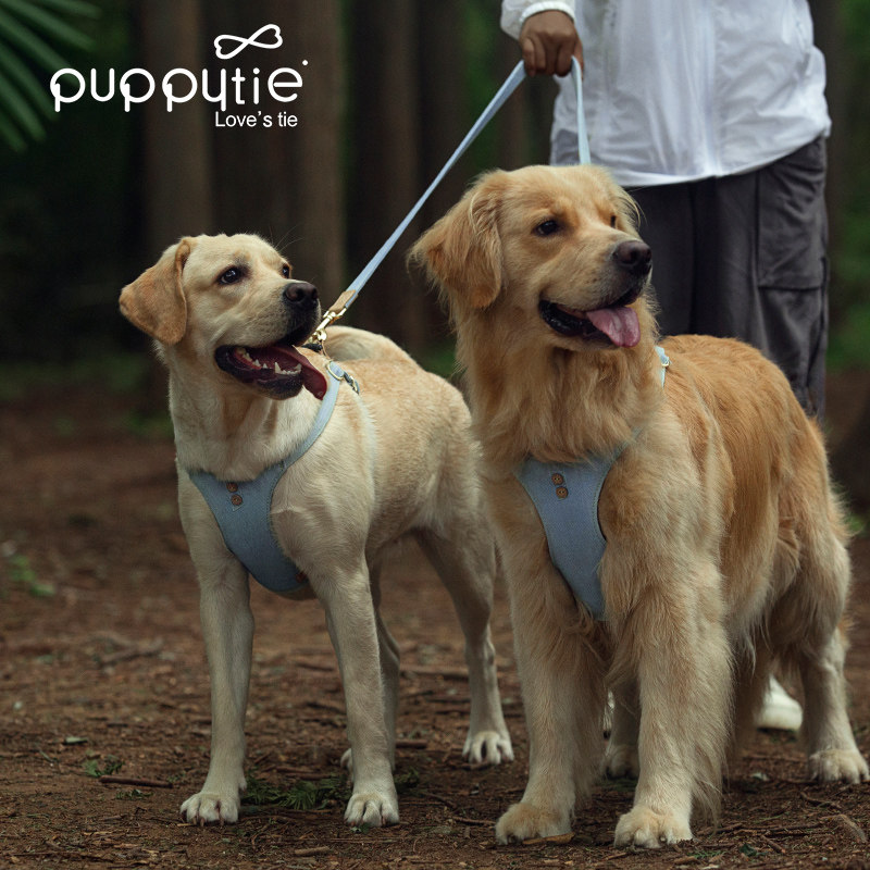 🐾Puppytie狗狗牵引绳：金毛拉布拉多的完美搭档！安全又时尚的遛狗神器！ -狗牵引绳-淘宝好物网