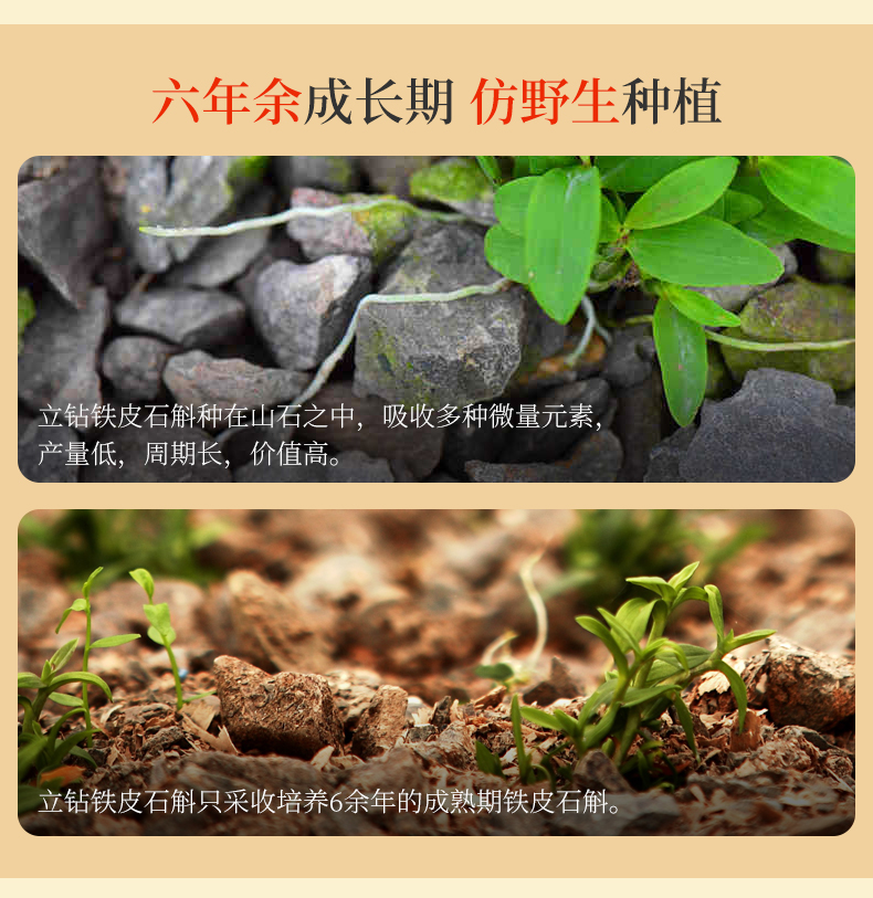 立钻铁皮石斛浸膏60g*2瓶说明书,价格,多少钱,怎么样,功效作用-九洲网上药店