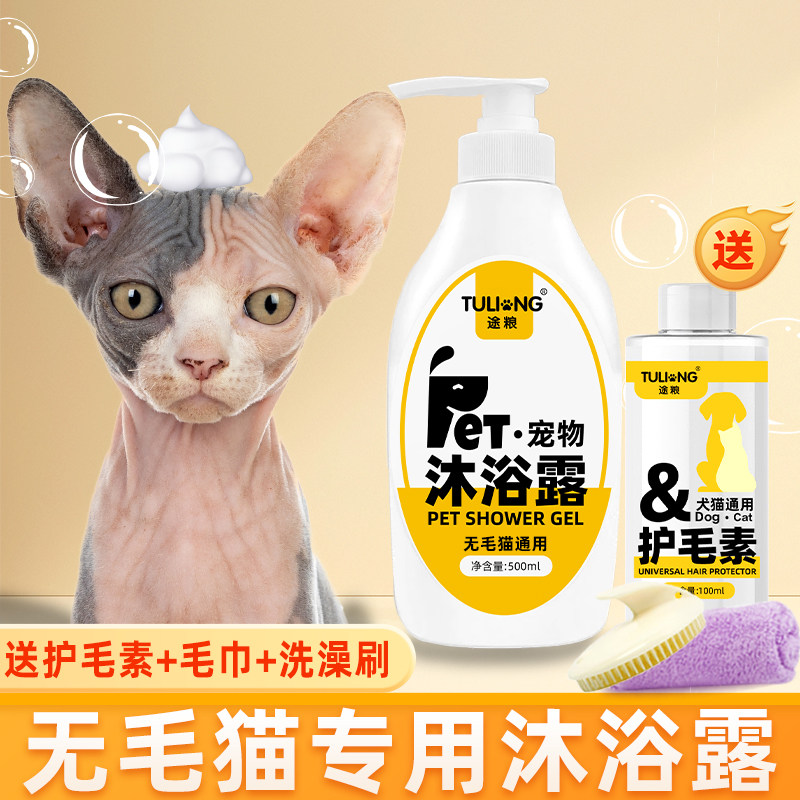 Sphinx cat & hairless cat shampoo review: a bathing savior for ...