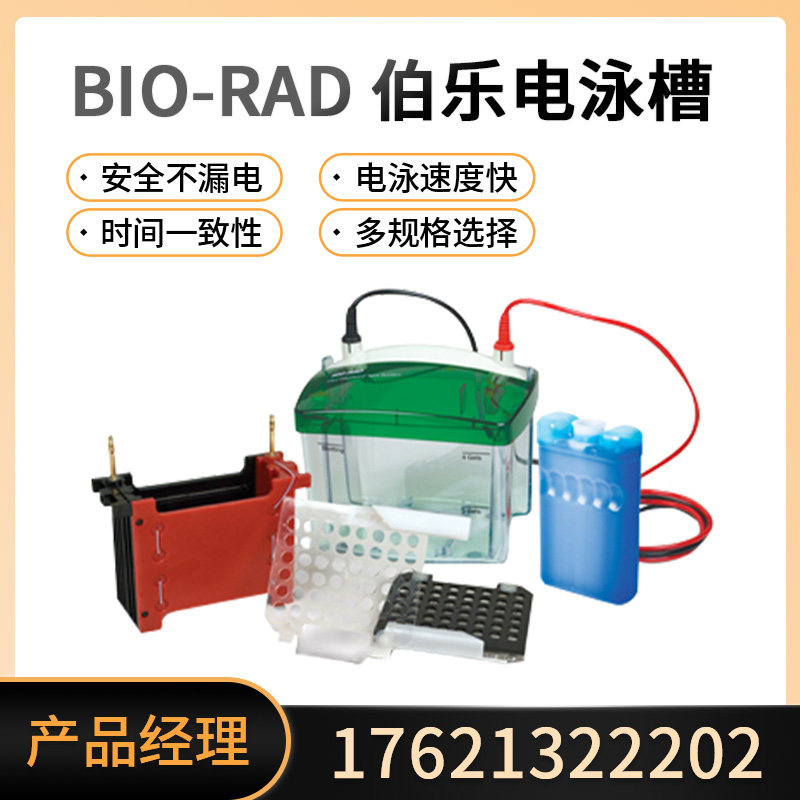 美国伯乐BIO-RAD电泳槽电泳仪垂直电泳槽转印槽蛋白槽一级代理-Taobao