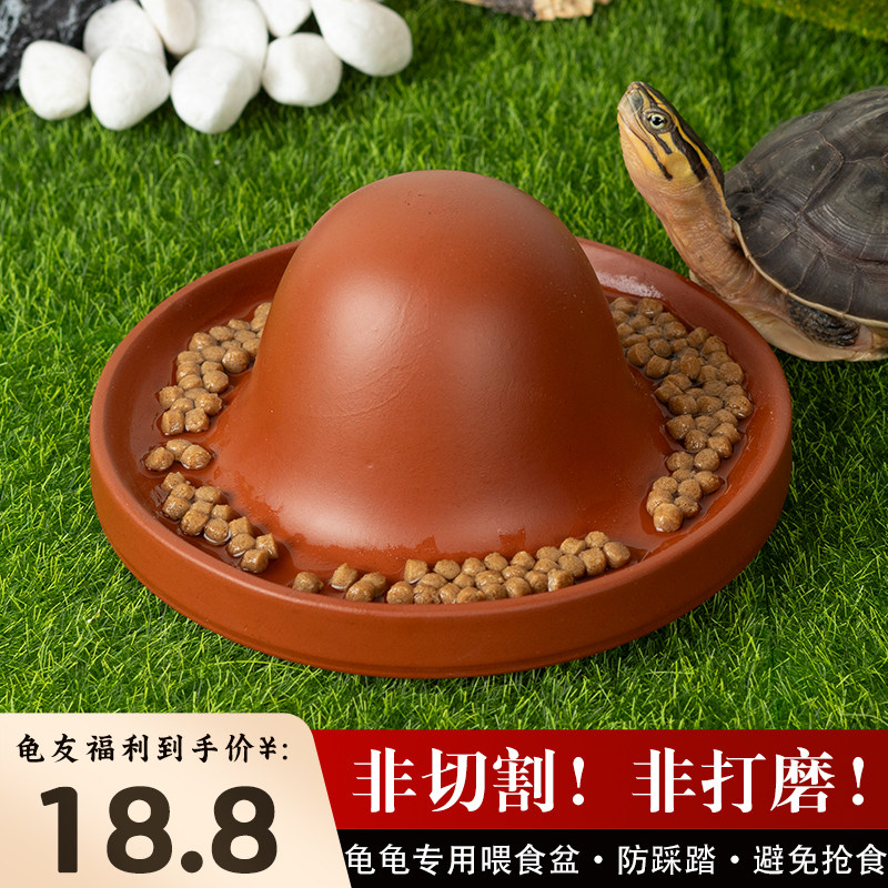 A must buy for 25 years! yellow-rimmed semi-aquatic turtle feeding bowl ...