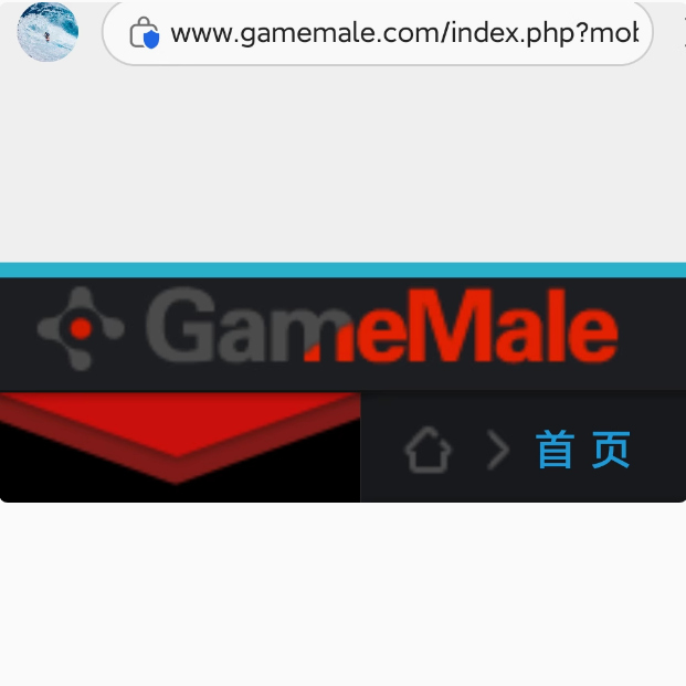 gamemale论坛L1级别 L2级别 独享账号，可改
