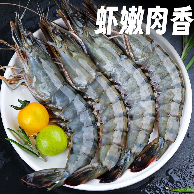 活冻斑节虾 Vs 超级大九节虾 Vs 海捕黑虎虾：海鲜市场里的虾王争霸战！ 冻虾 淘宝百科网