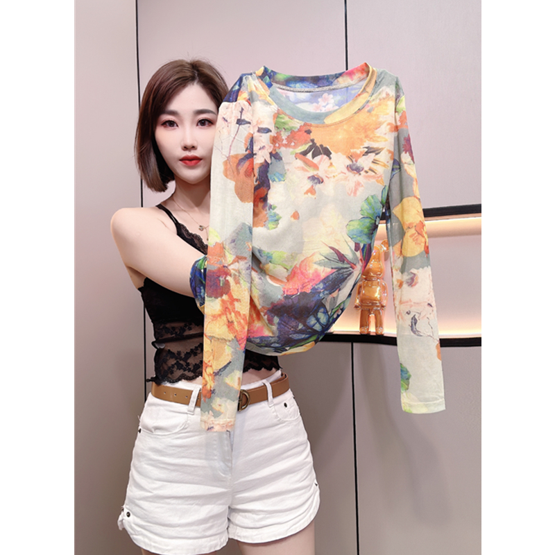 秋冬新款高级感修身印花长袖t恤女法式洋气低领网纱打底衫上衣ins-Taobao