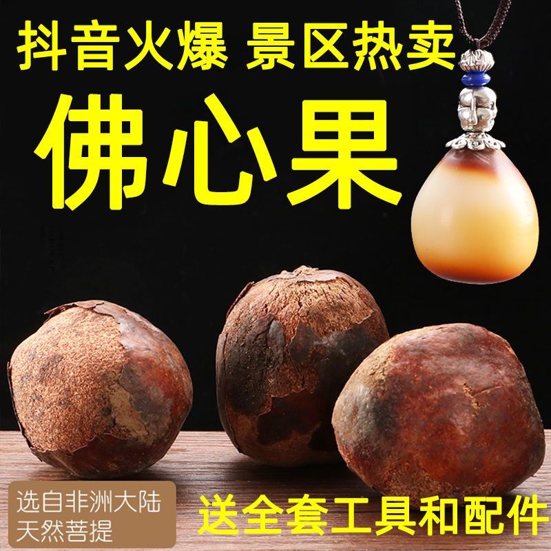 [USD 9.79] Bodhi Buddha Heart Fruit Original Seed Gold Package Jade ...