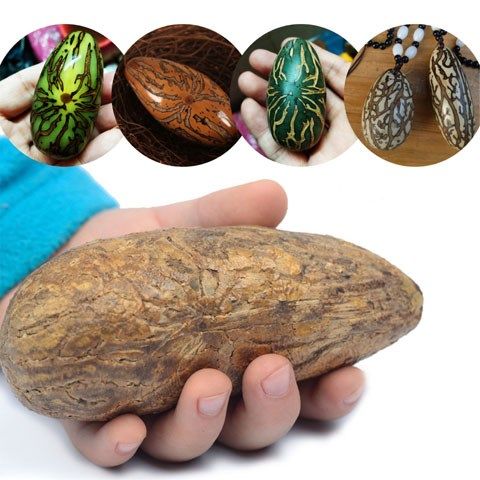 [USD 8.02] Bodhidhi Buddha Heartnut Original Seed Golden Bags Jade ...