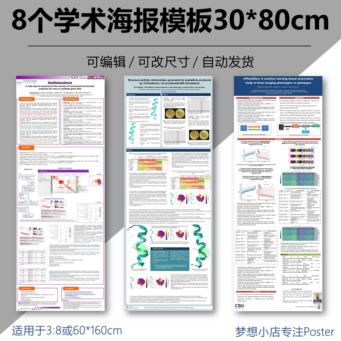 学术poster海报壁报墙报模板30*80 ppt格式8个 适用60*160