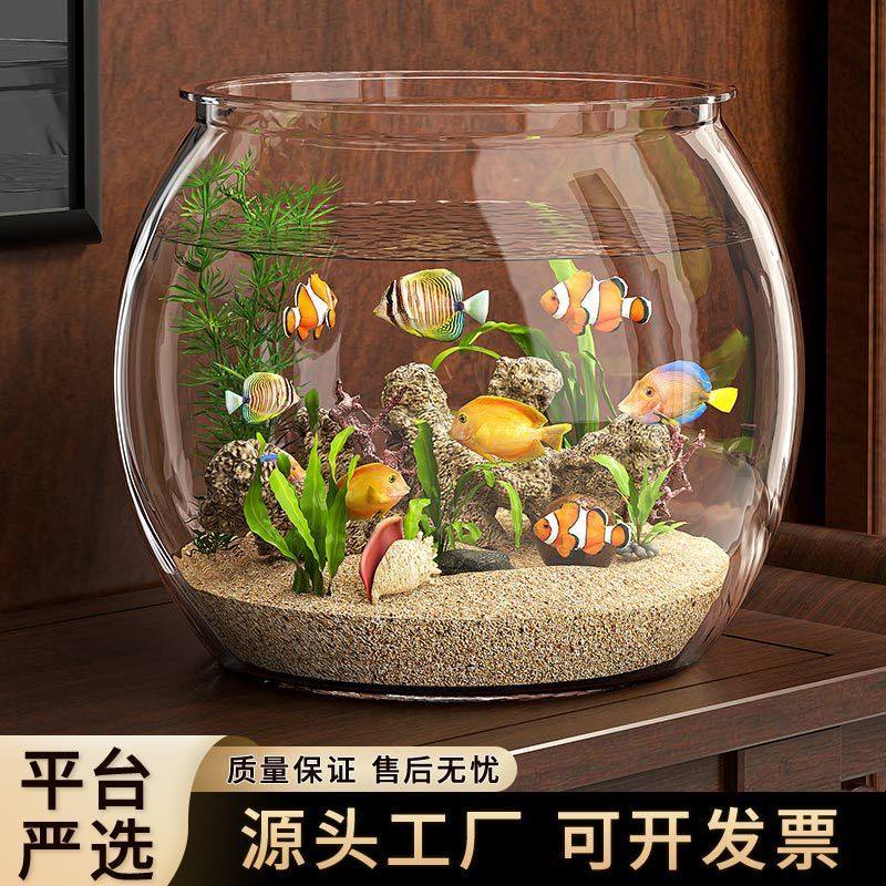 Recommended desktop fish tank for raising shrimp! transparent round ...