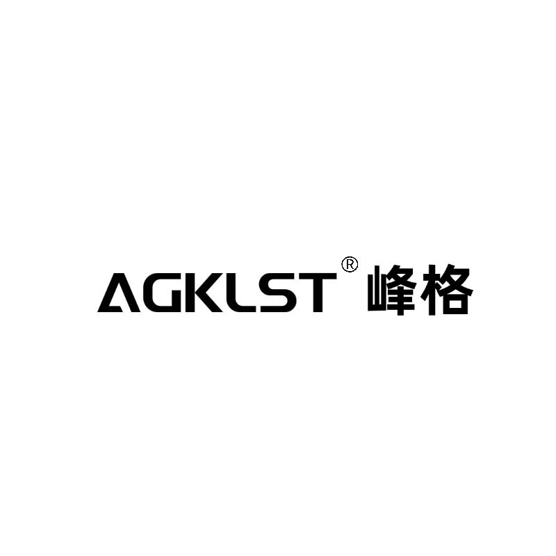 广州AGKLST峰格汽车电子工厂店