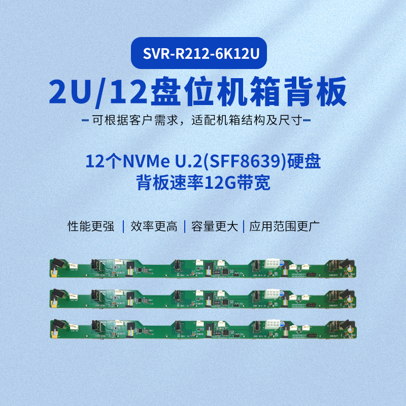 SVR-R212-9K12U 2U12盘纯NVM U.2方案！Gen4.0神机来袭，性能炸裂到尖叫！-企业级机箱-淘宝好物网