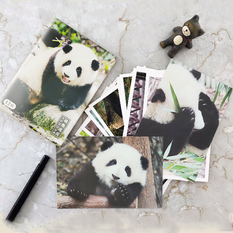 Will these adorable "hua hua" giant panda photo postcards from the ...