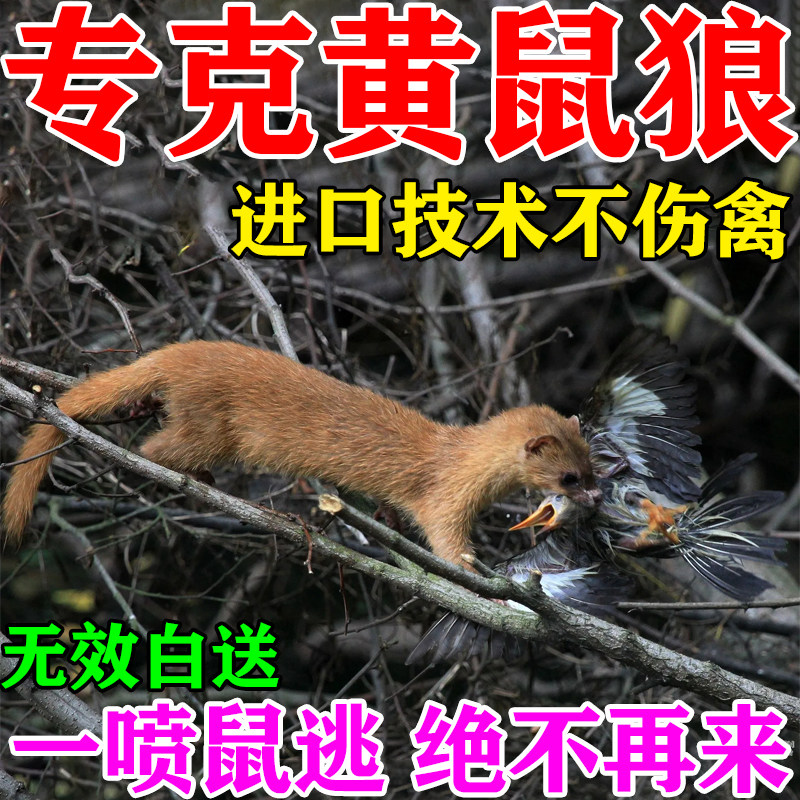 Say goodbye to weasel troubles! indoor and outdoor weasel buster ...