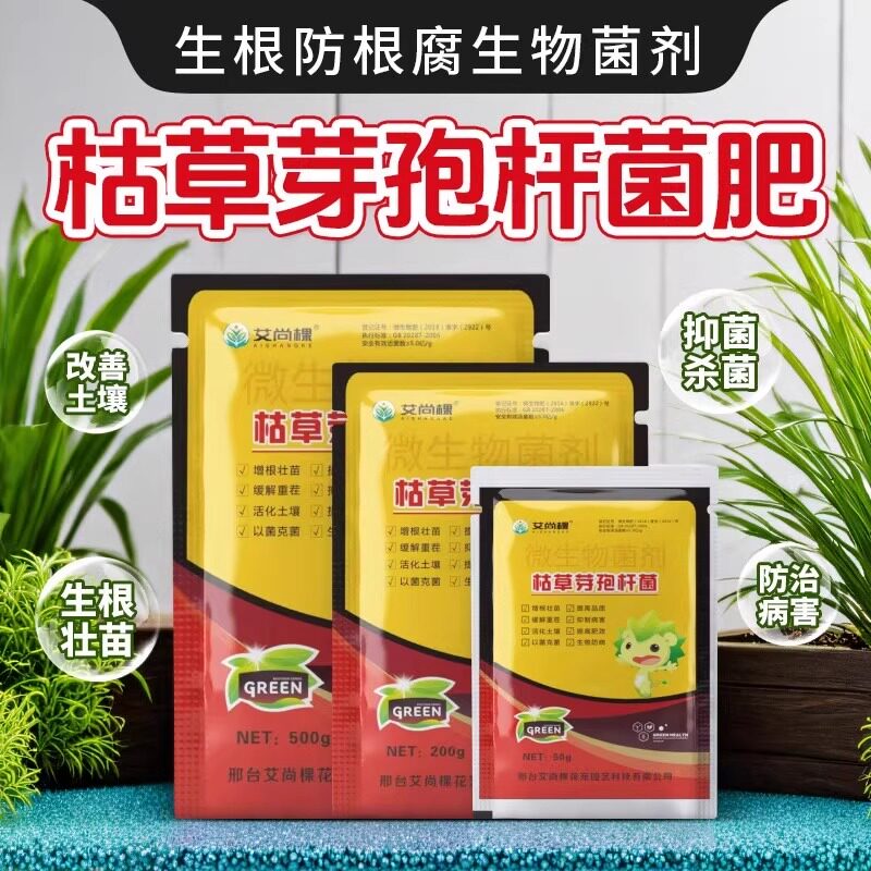 揭秘pJOE8999：枯草芽孢杆菌CRISPR-Cas9基因编辑载体系统的革命性突破-实验室用DNA-淘宝百科网