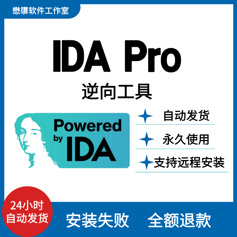 IDA Pro反彙編工具 逆向工程中文版軟體 9.1版本教學工具 虛擬機版服務