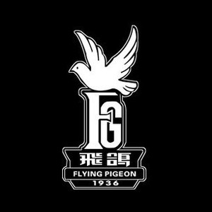 中国飞鸽骑行店