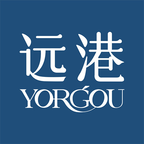 远港官方企业店