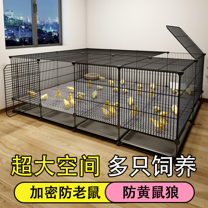 Large outdoor chicken coop on the balcony: a new trend in urban chicken ...
