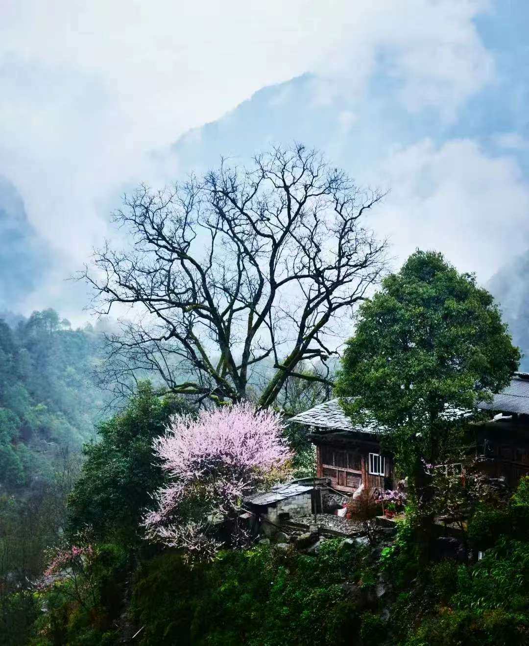 云南好店