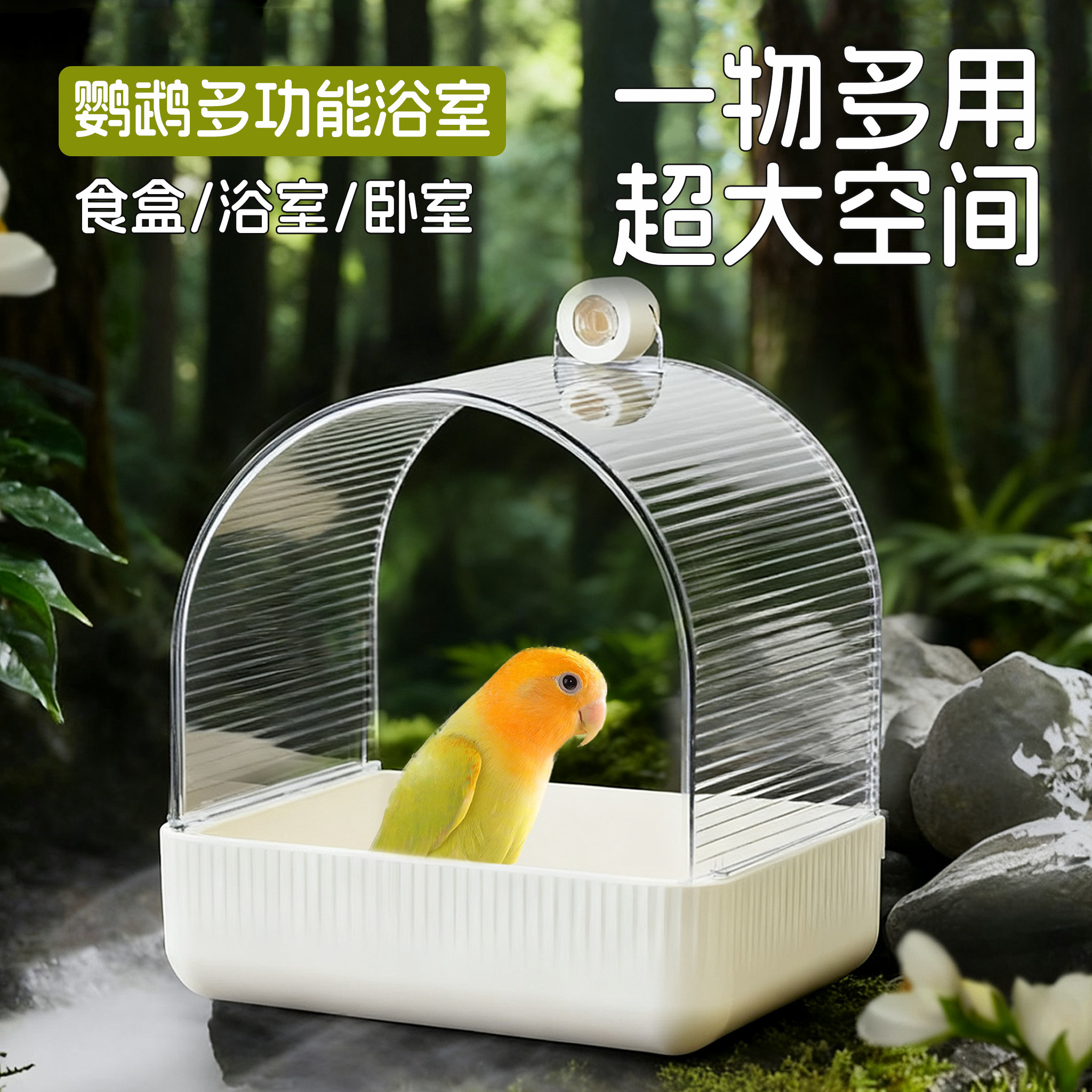🌿 Parrot bathing basin: a game-changing bathing experience for your ...