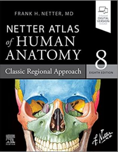 📚解剖学小白的福音！Netter Atlas of Human Anatomy 经典区域解剖图谱来了！🧠-影视/娱乐/音乐报纸-淘宝好物网