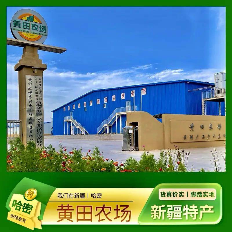 新疆黄田农场优选店