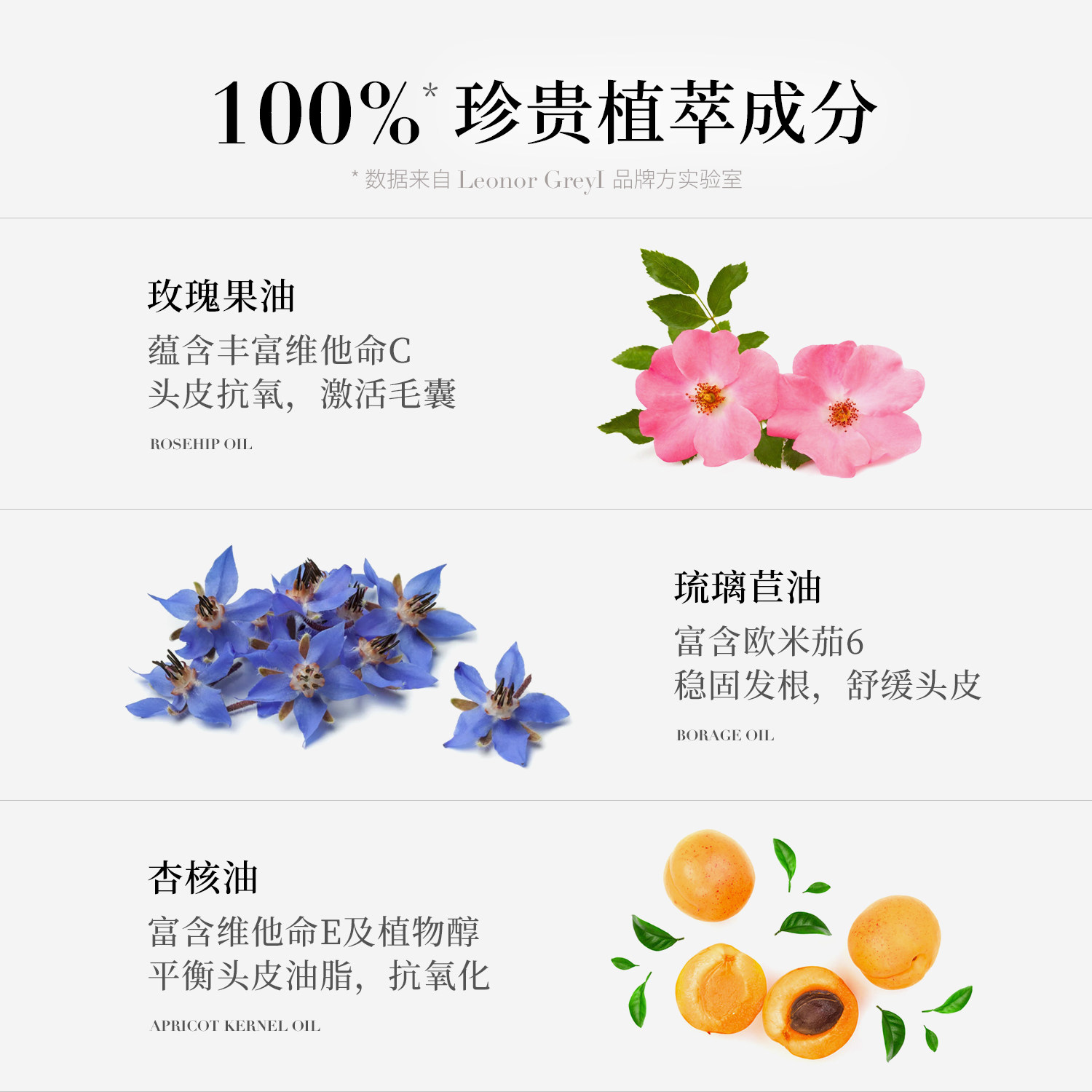 Leonor Greyl LG玫瑰精华活发油20ml：👑激活头皮净化，强韧焕活天然！🌿-头皮精油-淘宝好物网