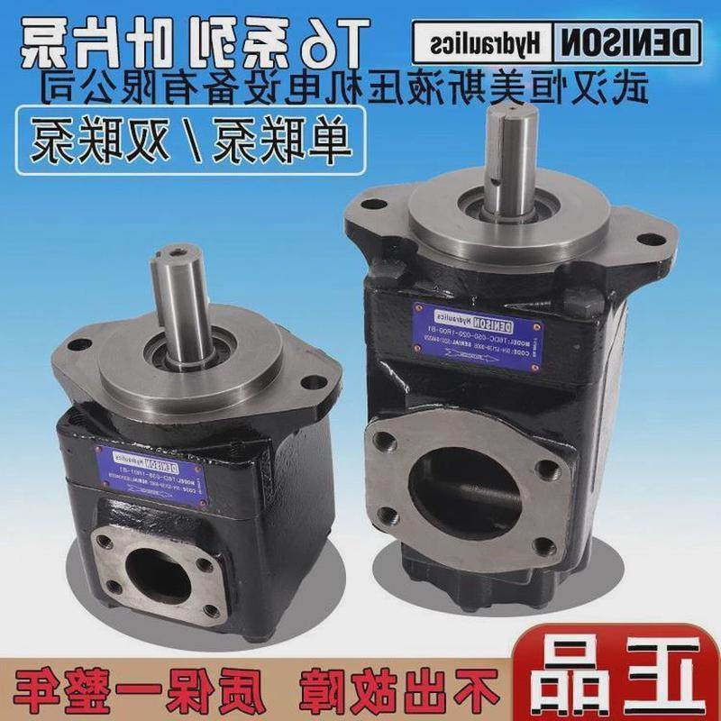 DENISON丹尼逊中压双联叶片泵T6DCM-B45-B05-3L00-C1与柱塞泵AHA4有何区别？-坯布-淘宝好物网