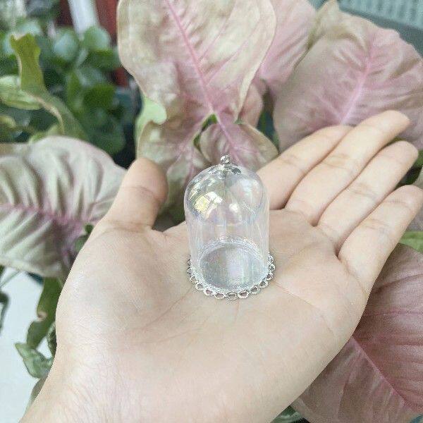 15/20/30/50X 38x25mm Rainbow Tube Glass Dome Cloche Cover