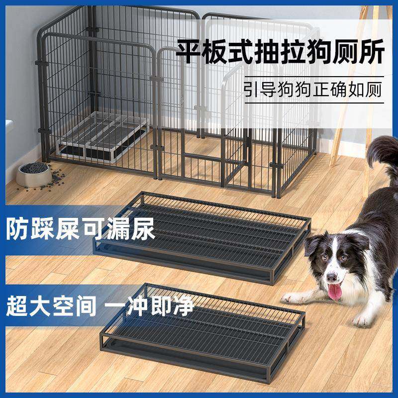 Dog toilet recommendation: the latest anti-step-in-poo gadget for 25 ...