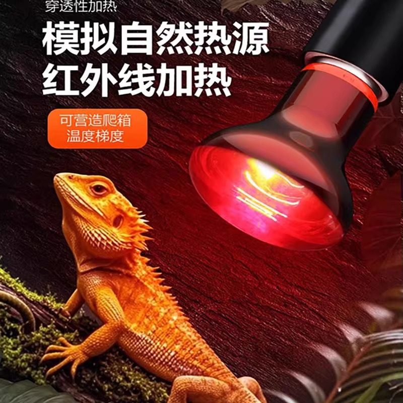 🔥 A must-have upgrade for pet breeding boxes! infrared lamp heating ...