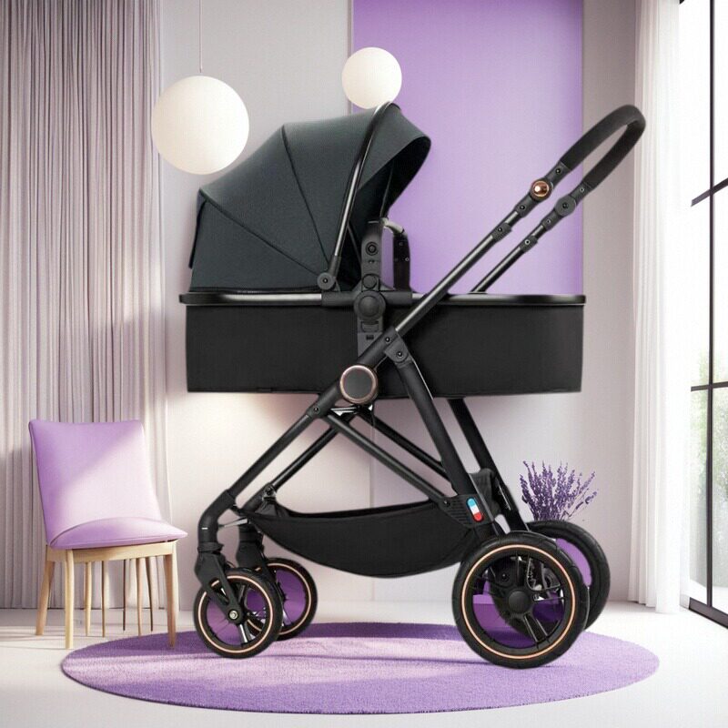 Newborn stroller upgrade: high view, two-way folding, shock-absorbing ...