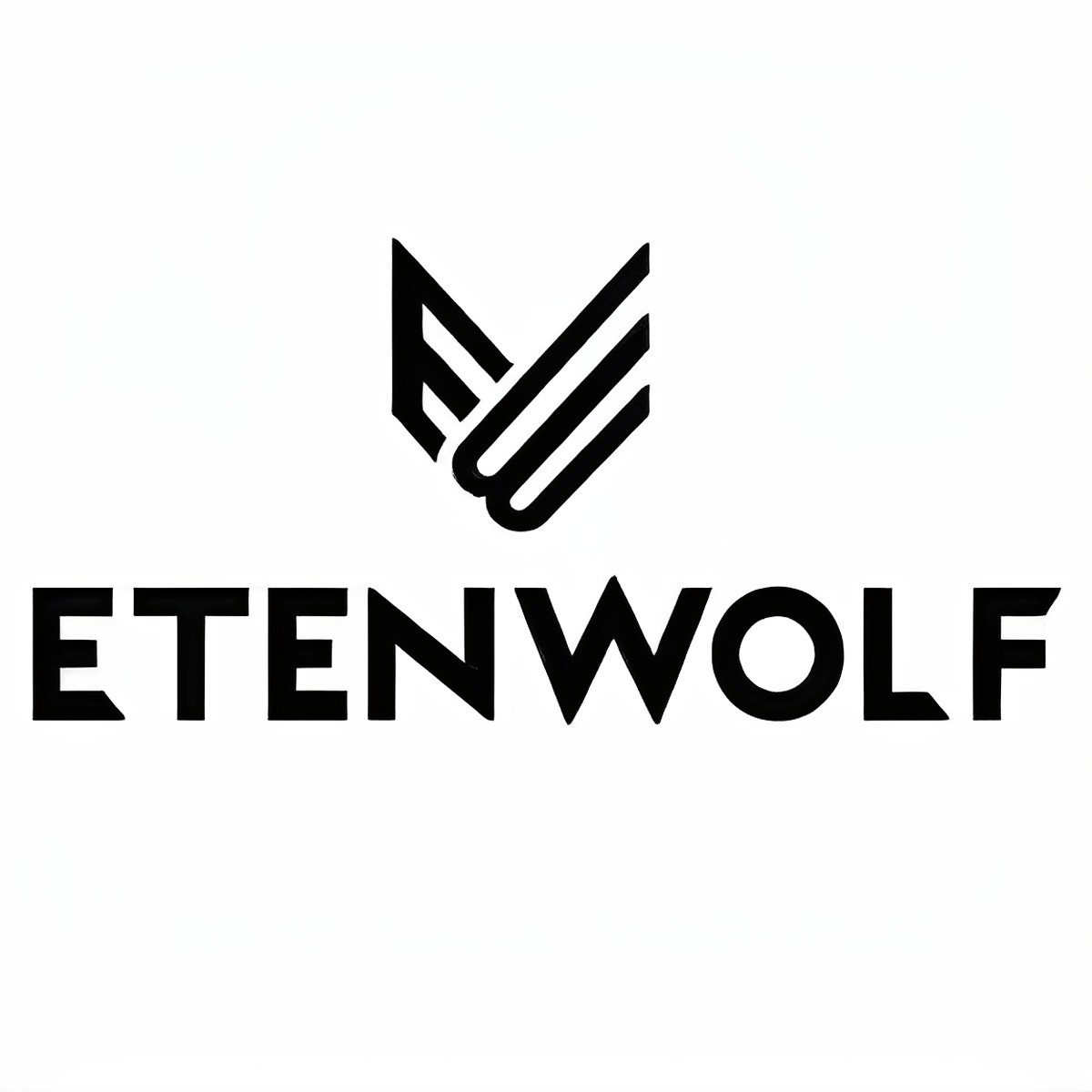 ETENWOLF车品旗舰店