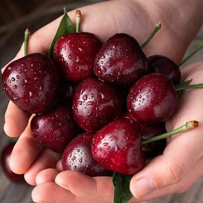 现货进口车厘子礼盒装新鲜水果甜美多汁高档礼品樱桃